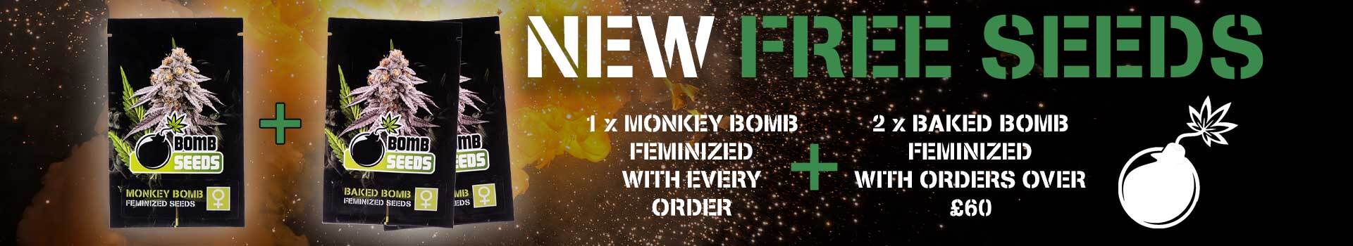 Explosive HIGH THC Cannabis Seeds | Bomb Seeds